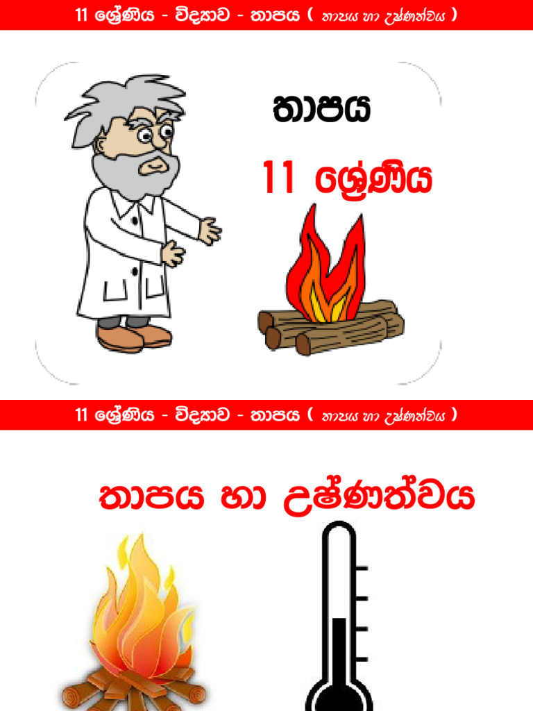 Science Notes for Students | PDF