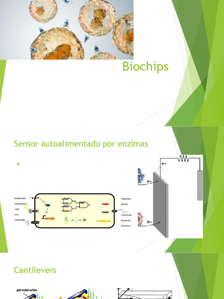 Bio Chips | PDF