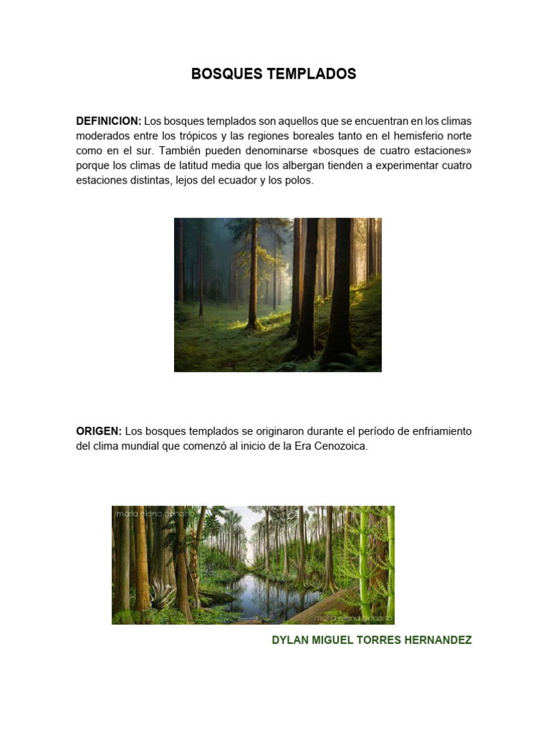 Características de los Bosques Templados | PDF