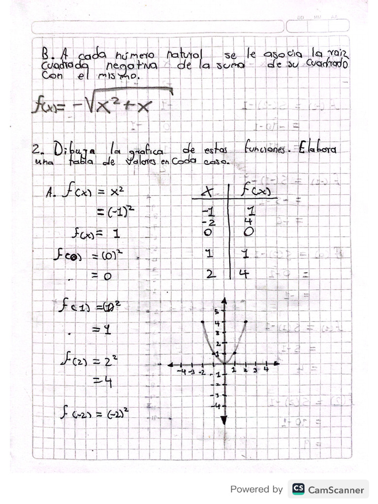 Calculo Rta - Ejer. Funcion, Dominio y Recorrido GARCIA-11-3 | PDF