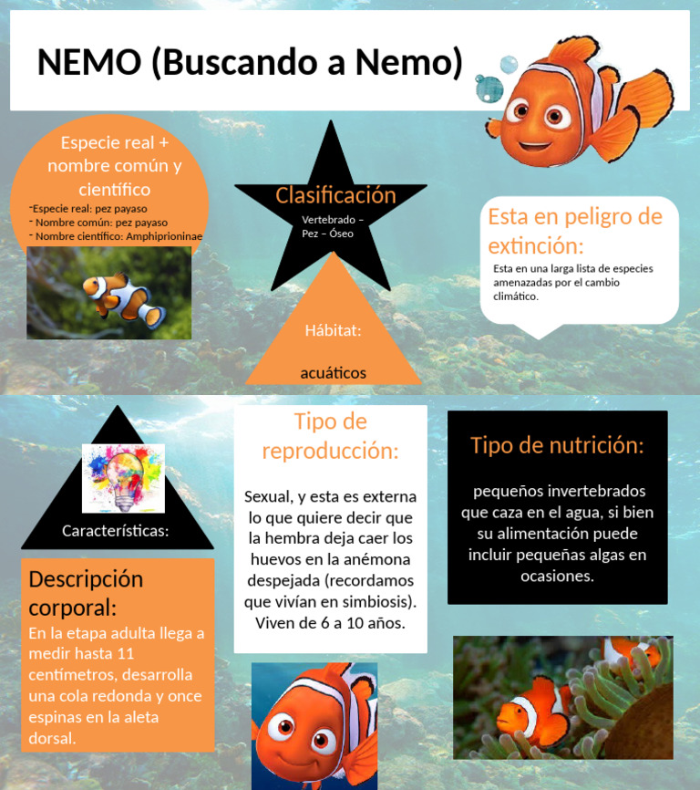 Nemo | PDF | Estudios de idiomas extranjeros
