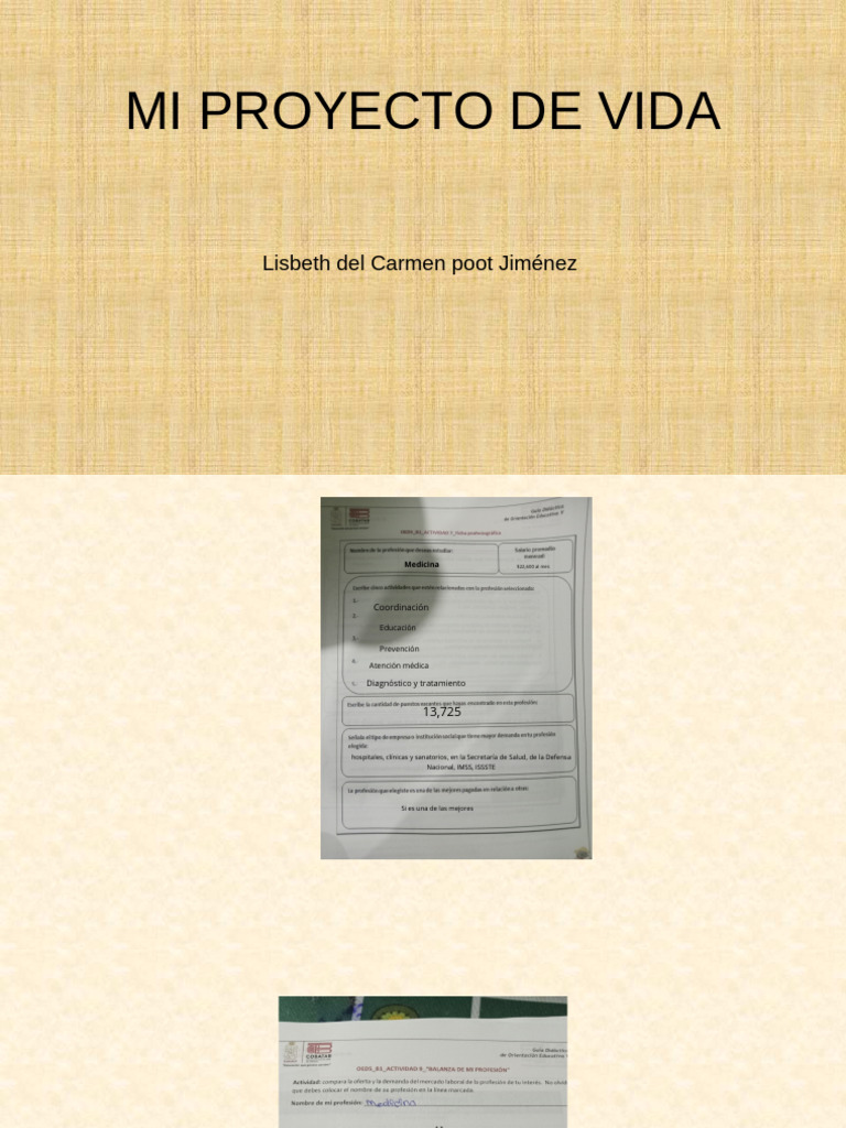 Mi Proyecto De Vida Pptx 20241024 193135 0000 Pdf