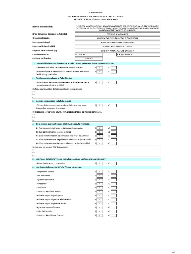 Formatos OE 03-07-08-09-10-11-13 | PDF