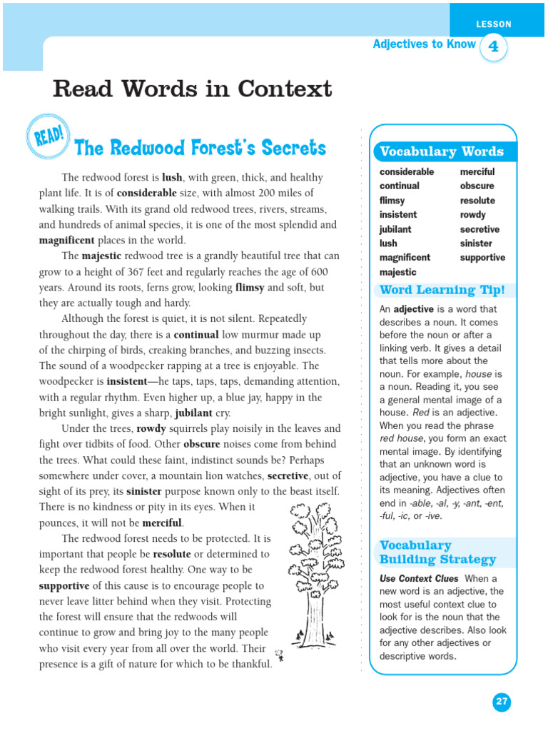 Vocabulary L4 (Adjectives To Know) | PDF | Trees | Adjective