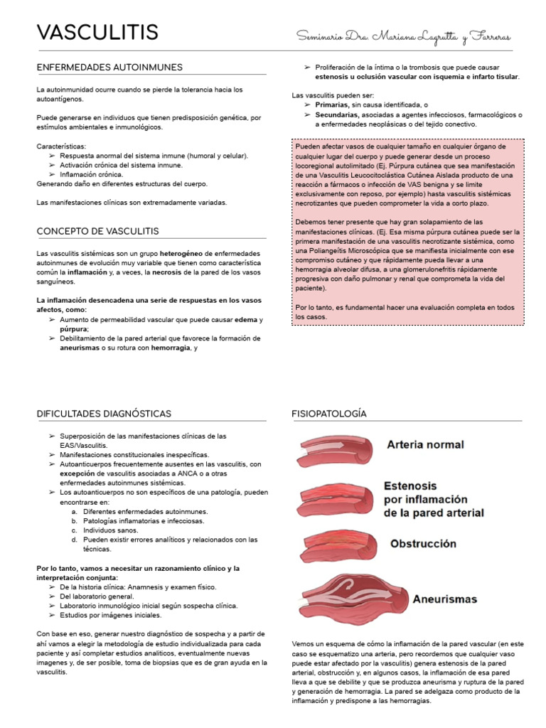 Vasculitis | PDF | Inflamación | Medicina