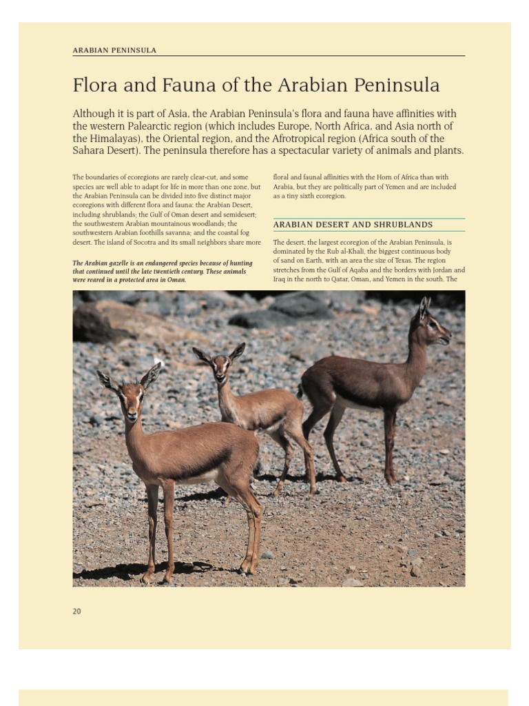 Flora & Fauna of Arabian Peninsula | PDF | Arabian Peninsula | Oman
