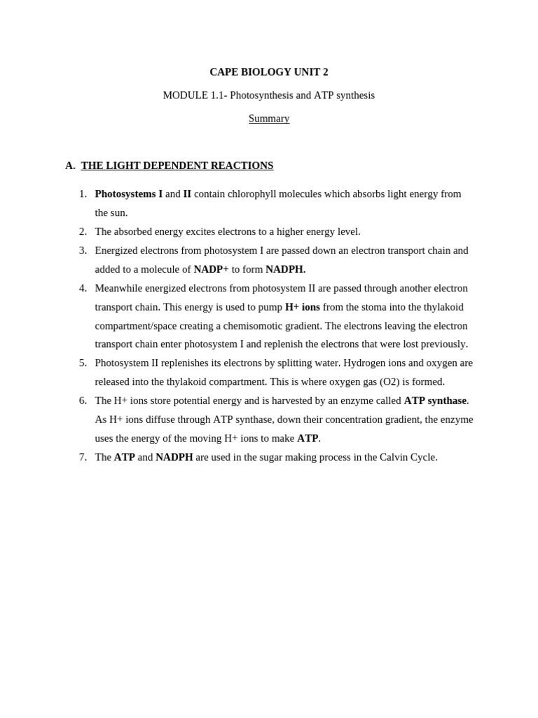 Photosynthesis Summary Sheet | PDF | Photosynthesis | Adenosine ...