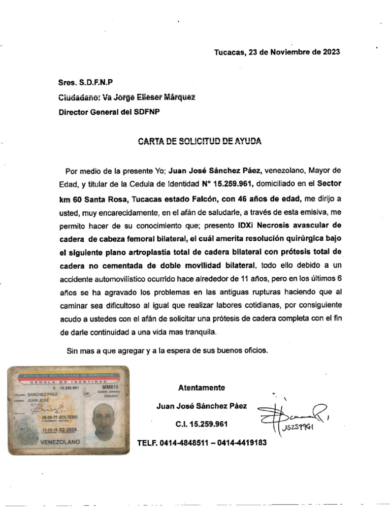 Carta de Ayuda | PDF