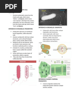 Class 9 - Diagram Cell | PDF