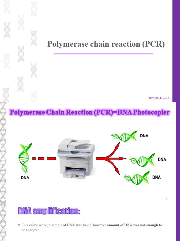 Polymerase Chain Reaction PCR | PDF | Polymerase Chain Reaction ...
