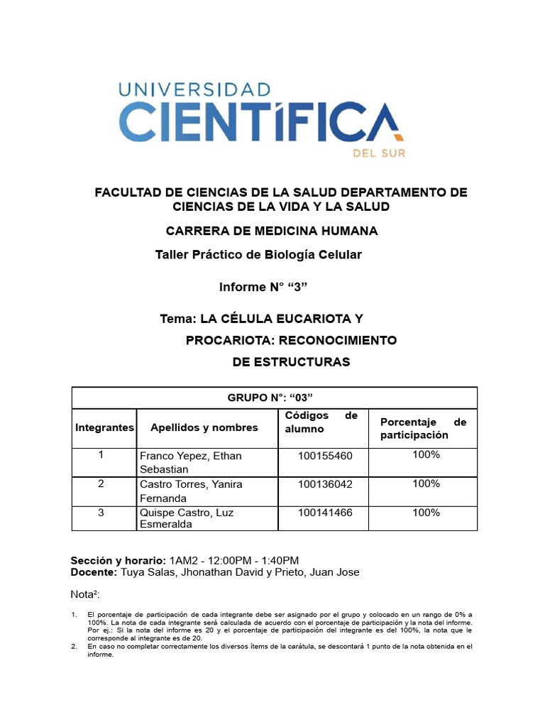 Informe 3 Bio Lab | PDF | Biología Celular) | Citoplasma
