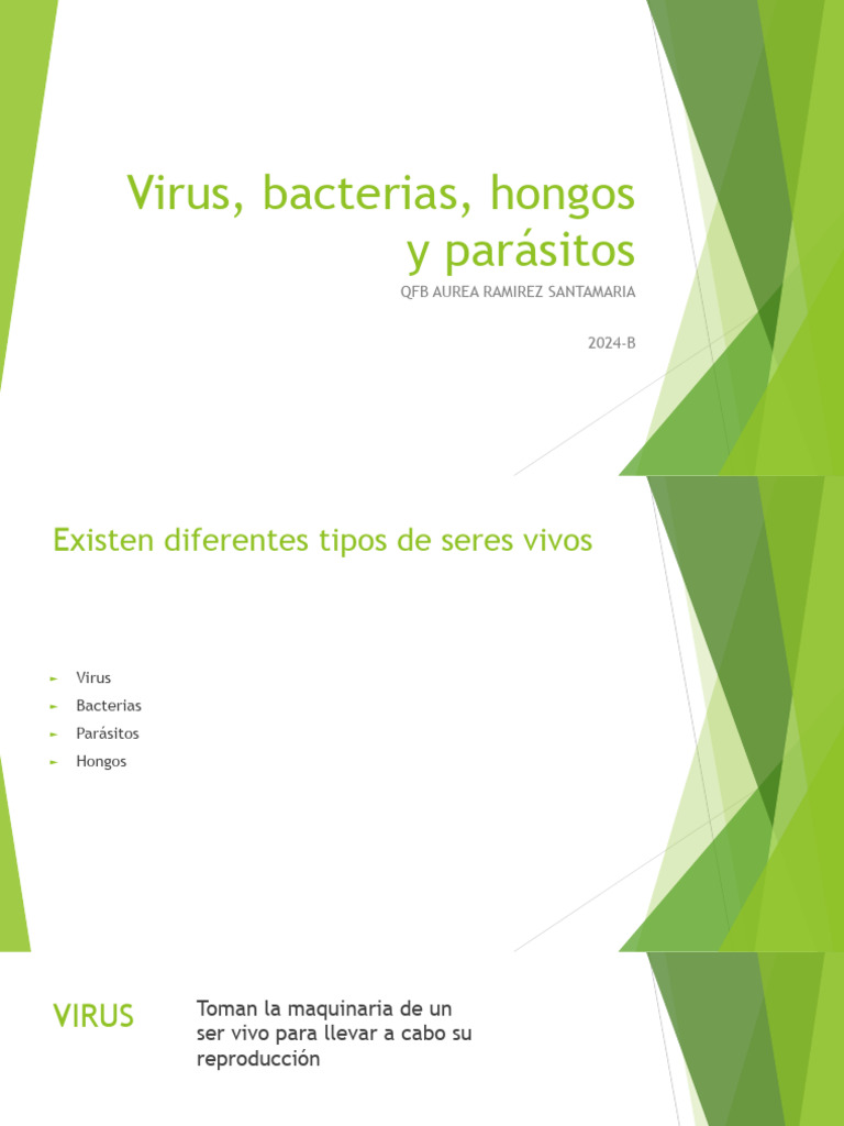 Virus Bacterias Hongos Y Par Sitos PDF Virus Las Bacterias