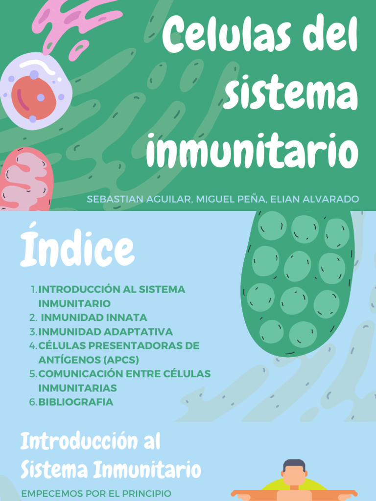 Celulas Del Sistema Inmunitario | PDF | Sistema inmune | Sistema inmune innato