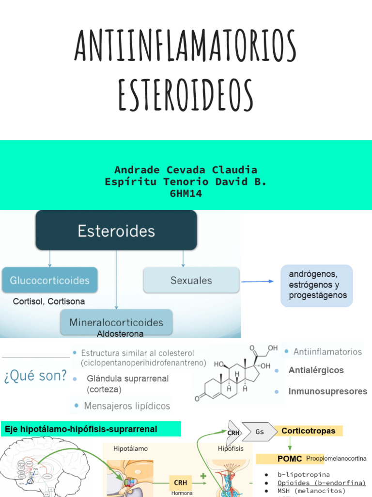 Uso y Efectos de Antiinflamatorios Esteroideos | PDF | Hormona ...