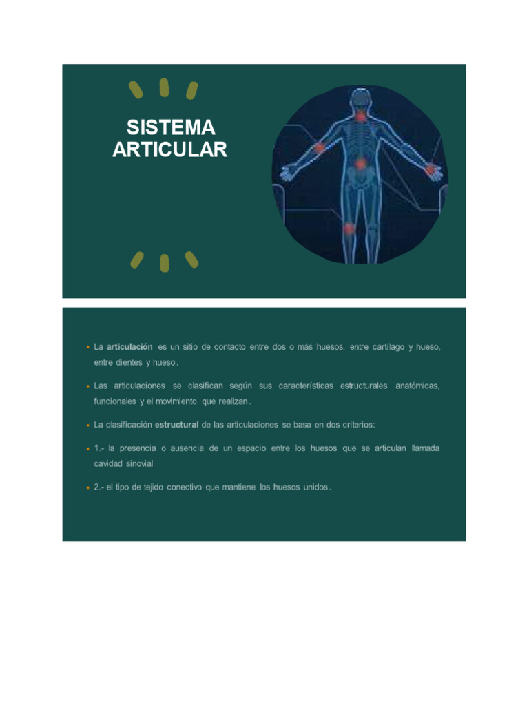 Sistema Articular | PDF