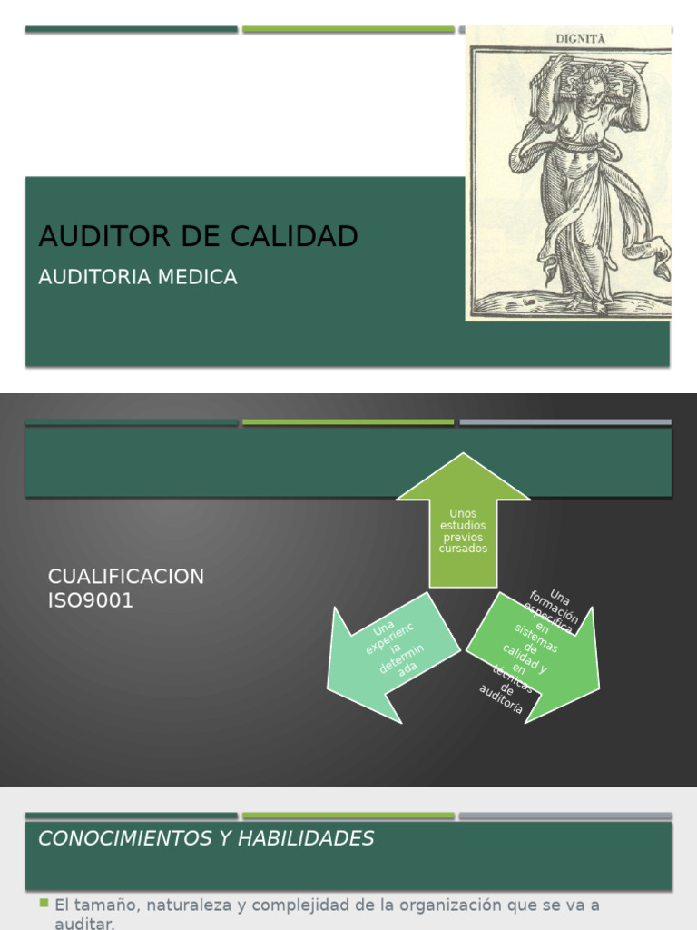 Guía para Auditores de Calidad ISO 9001 | PDF | Auditoría | Contralor