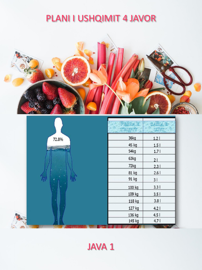 Plani 4 Javor I Ushqimit PDF | PDF