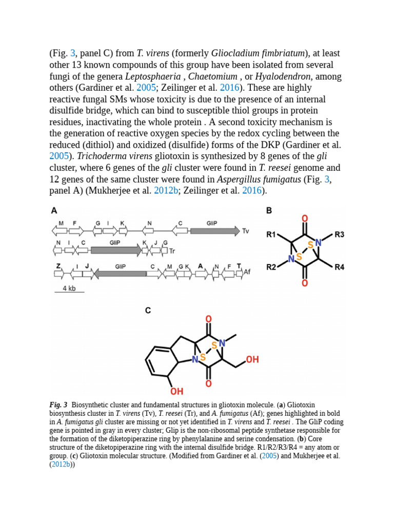 Funga Biology Pdf Biochemistry Chemistry