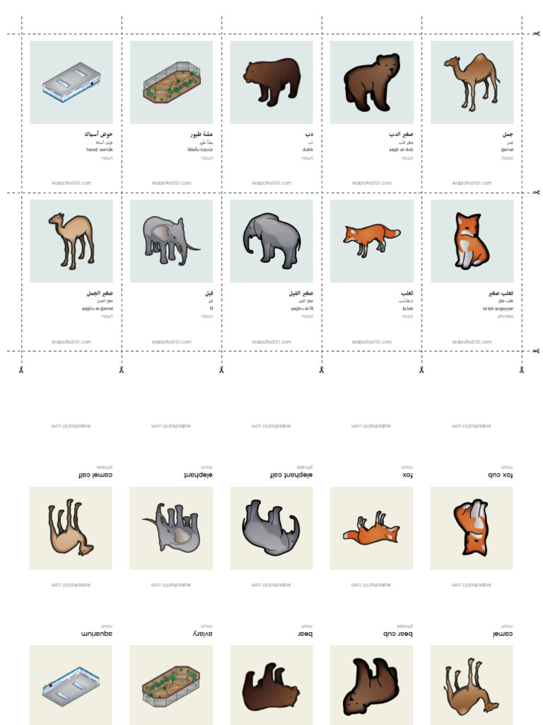 Arabic Zoo | PDF