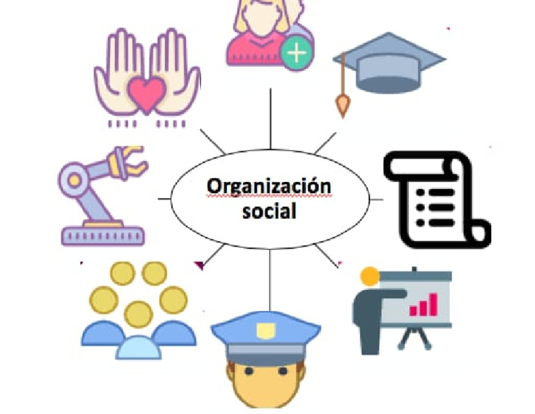 Organización Social | PDF