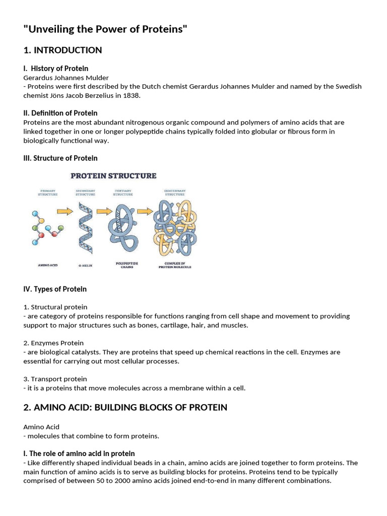 Unveiling The Power of Proteins | PDF | Messenger Rna | Proteins
