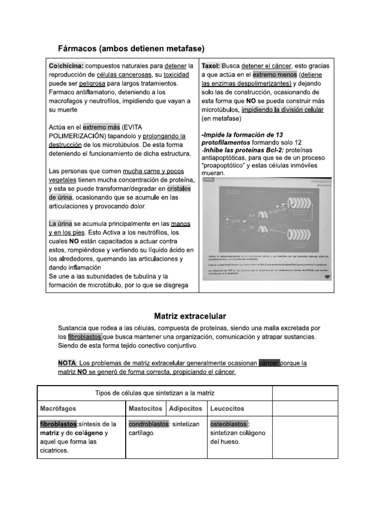 Biocel Matriz | PDF