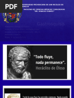 Persistencia del Conducto Onfalomesentérico | PDF | Anatomía ...