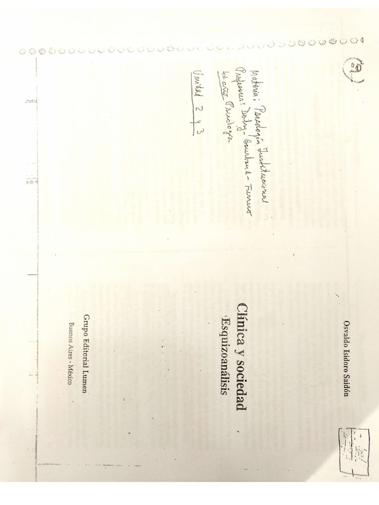 SAIDON - Neurosis en La Actualidad | PDF