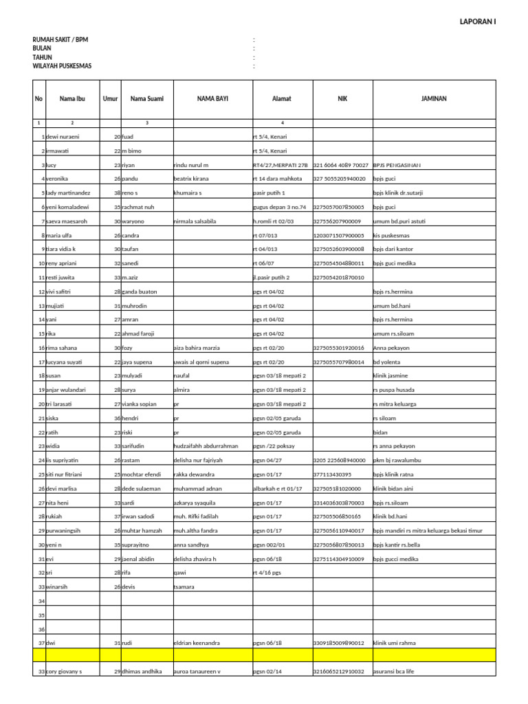 Laporan Bumil Dan Bulin Kader | PDF