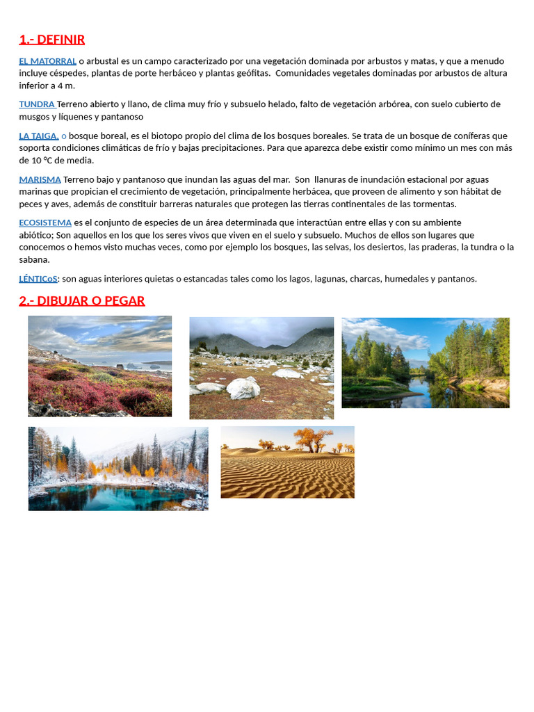 EL MATORRAL o Arbustal Es Un | PDF