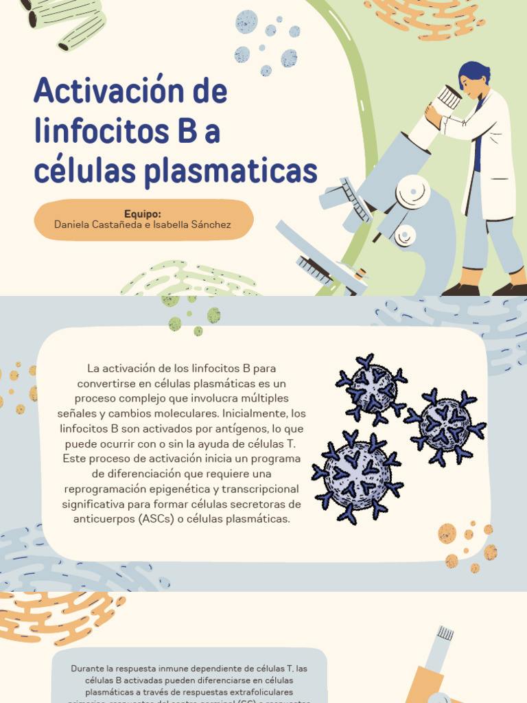 Inmuno Expo - 2 | PDF | Célula B | Citocina