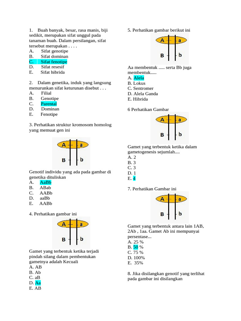 LATIHAN SOAL HEREDITAS PAKET B + KJ | PDF