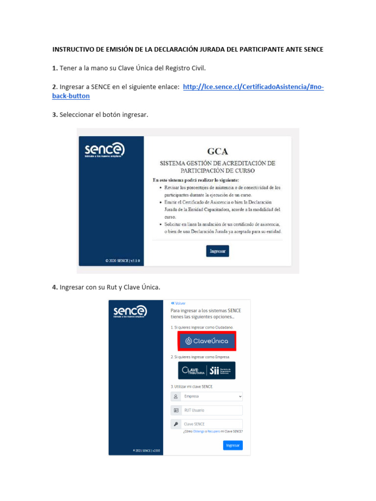 Instructivo DJP | PDF | Crecimiento personal y profesional