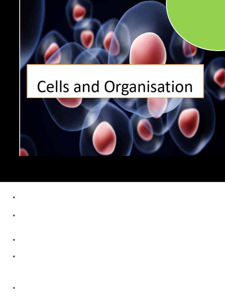 B2_slides | PDF | Cell (Biology) | Cytoplasm