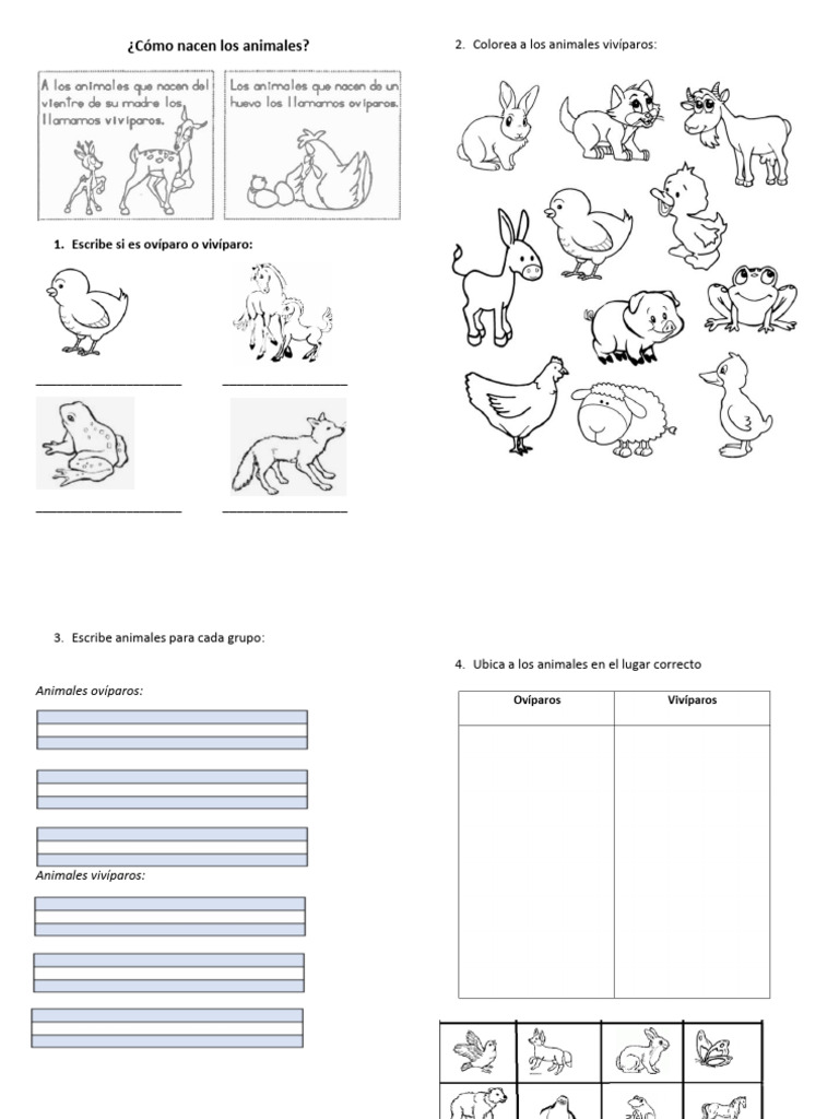 Viernes 18 - CT | PDF