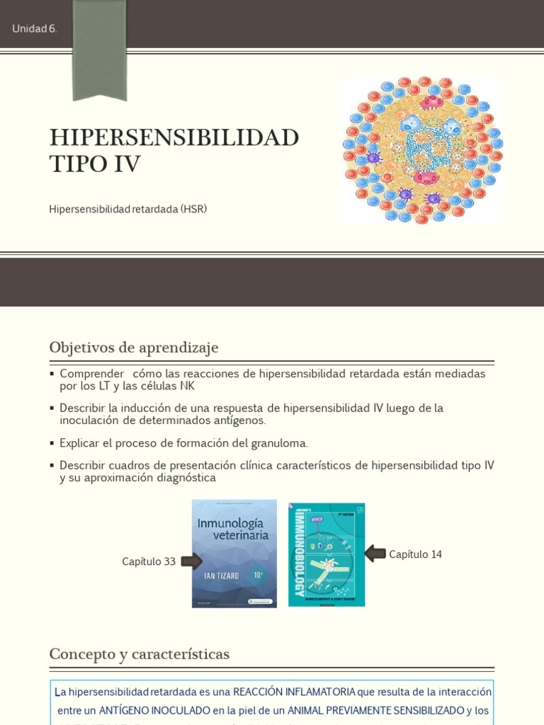 5-Hipersensibilidad Tipo IV | PDF | Inflamación | Tuberculosis