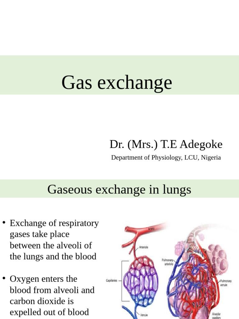 Alveolo Pulmonary Capillary Gas Exchange | PDF | Respiratory System | Lung