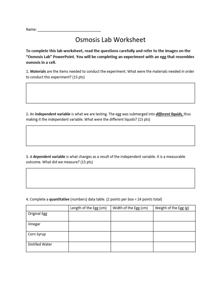 Osmosis Lab Worksheet | PDF