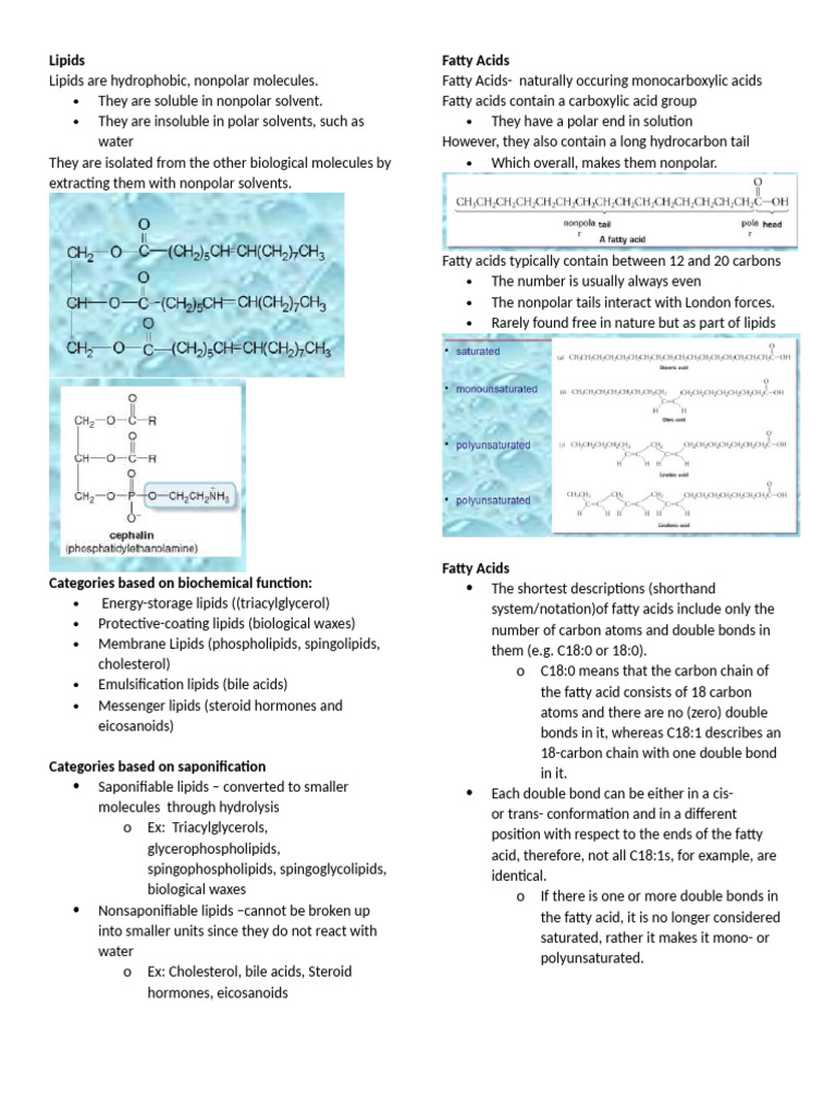 Lipids | PDF | Triglyceride | Fatty Acid