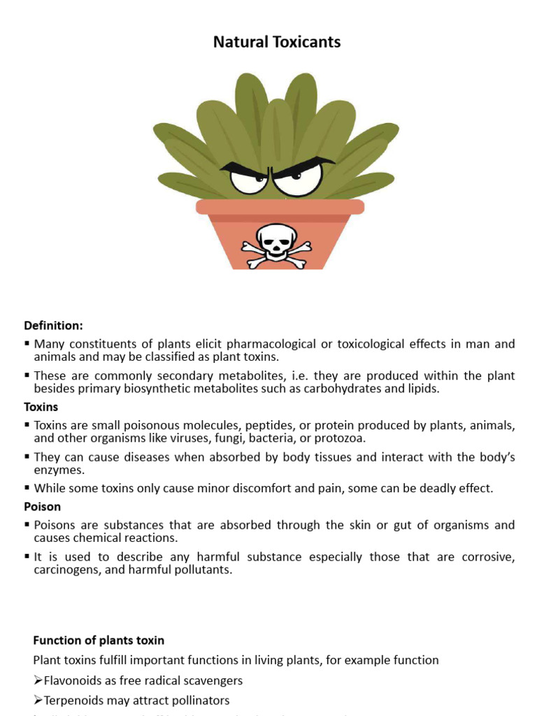 Understanding Plant Toxins and Their Effects | PDF | Mycotoxin ...