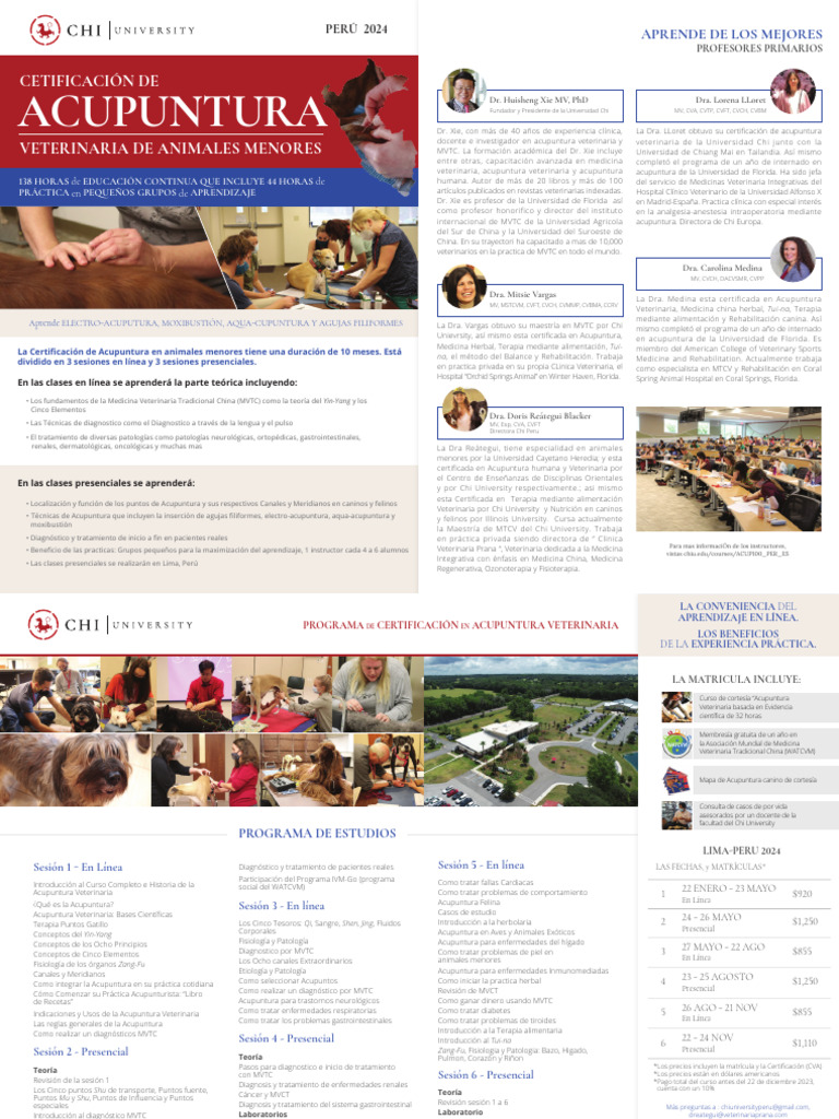 2024 CVA Peru Flyer | PDF | Acupuntura | Qi