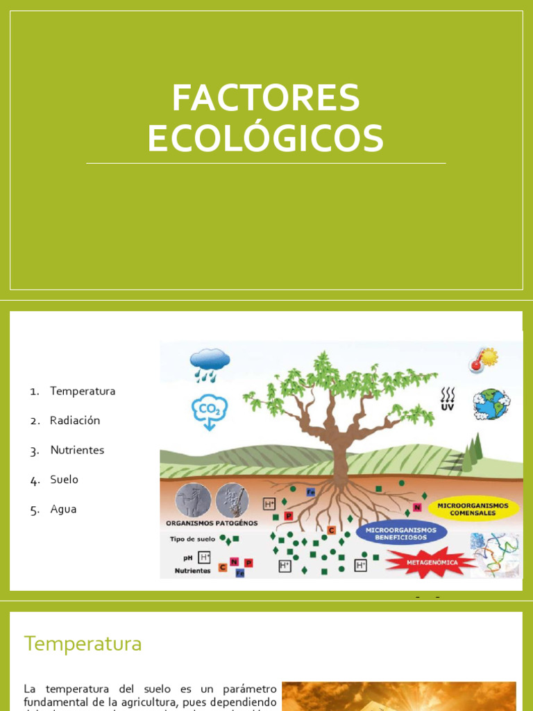 Clase #3 - Factores Ecologicos - 1de3 | PDF | Suelo | Tierra