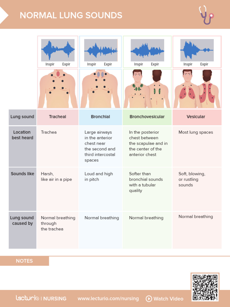 Understanding Normal Lung Sounds | PDF