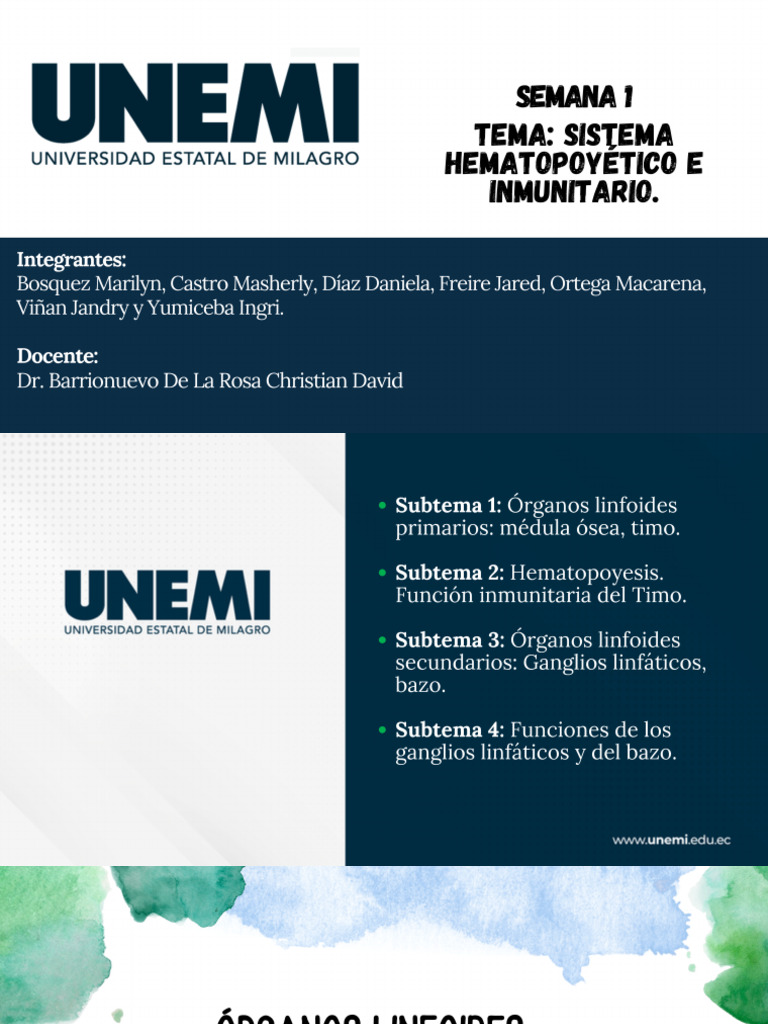 Exposición Morfo Tema 1 | PDF