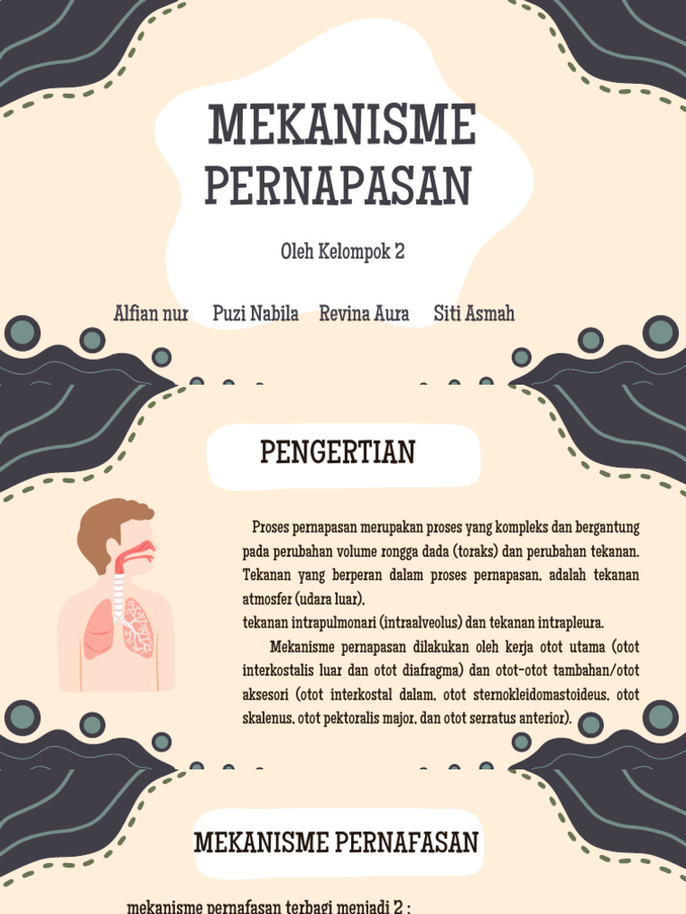 Mekanisme Sistem Pernapasan Manusia | PDF | Sains & Matematika