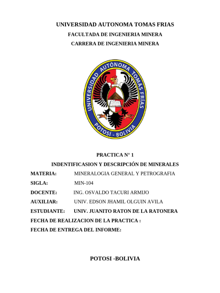 Como Hacer El Informe P1 | PDF | Minerales | Materiales