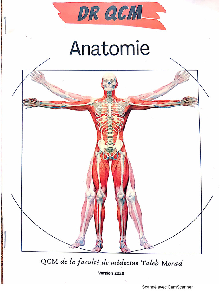 DR QCM Anatomie | PDF