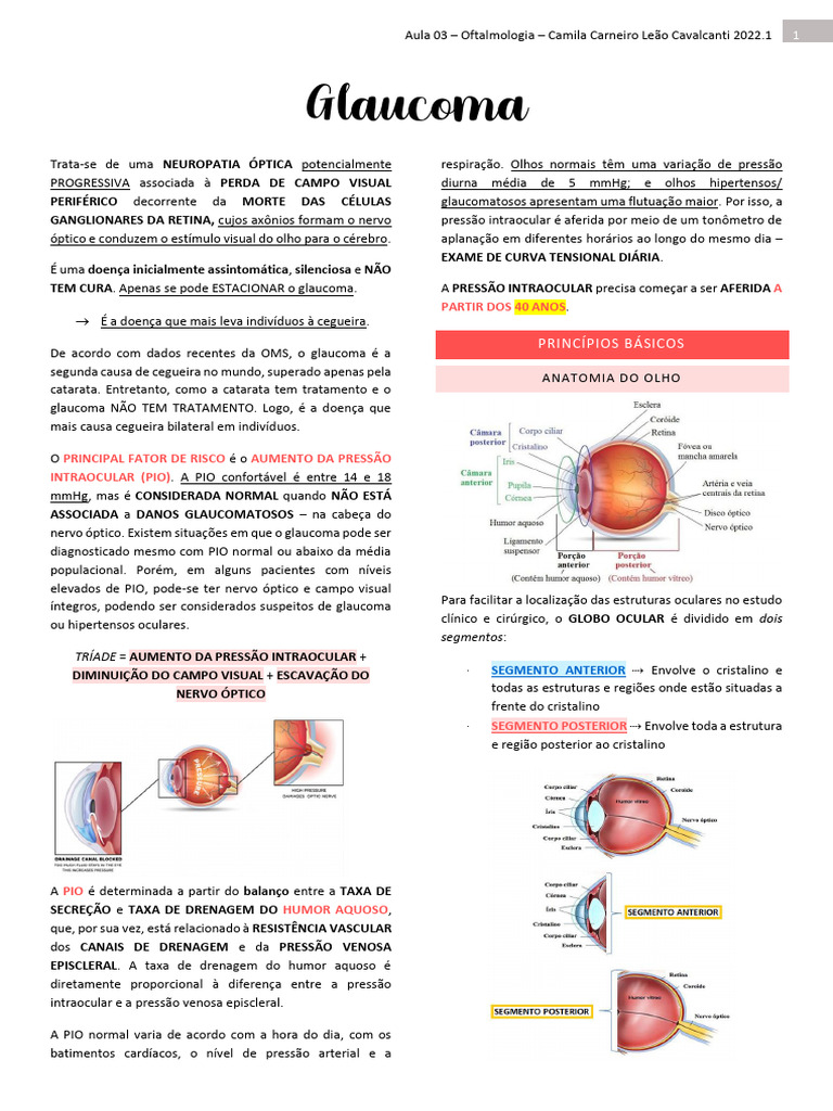Aula 03 - Glaucoma | PDF | Glaucoma | Olho humano