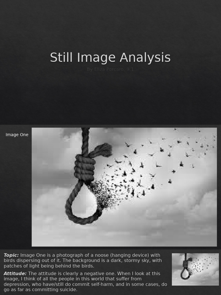 Still Image Analysis | PDF | Philosophy