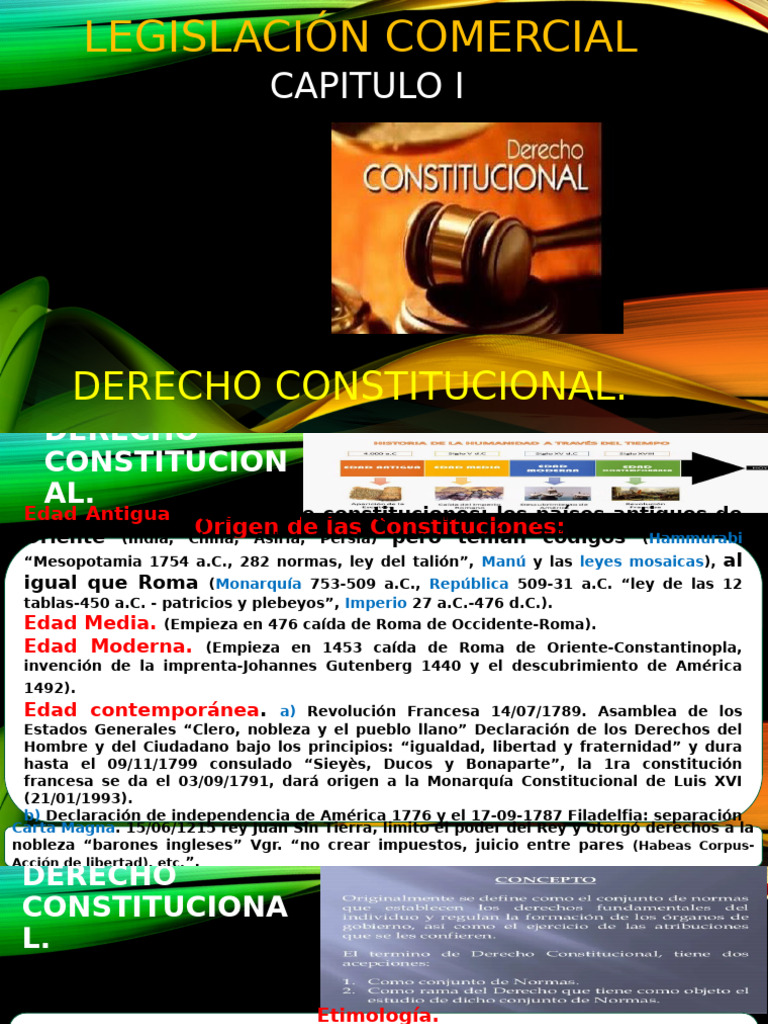 Capitulo 1 Derecho Constitucional-1 | PDF | Estado (política) | Legislador
